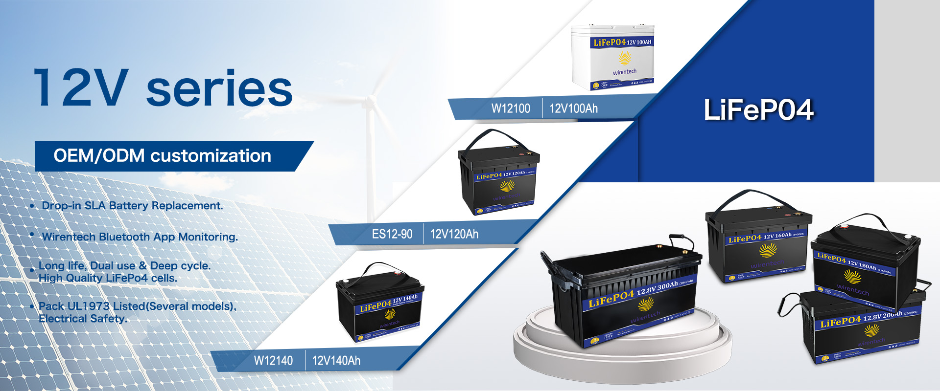 LiFePo4 battery, Lithium battery, 12V 100Ah lithium battery ...